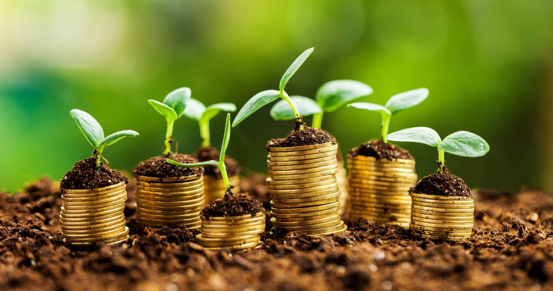 Financiële planning | APF Groep